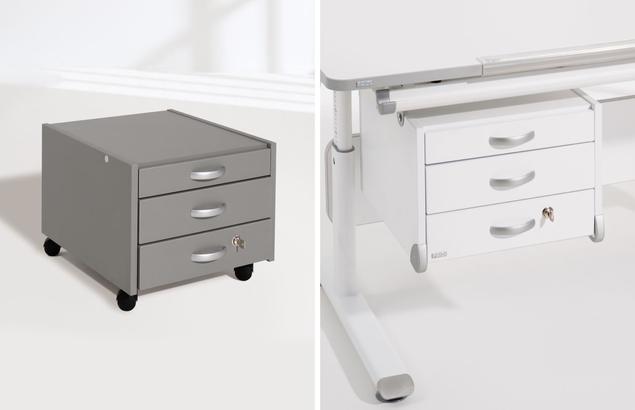 PAIDI Schreibtisch Diego kaufen | PAIDI Kindermöbel ♥