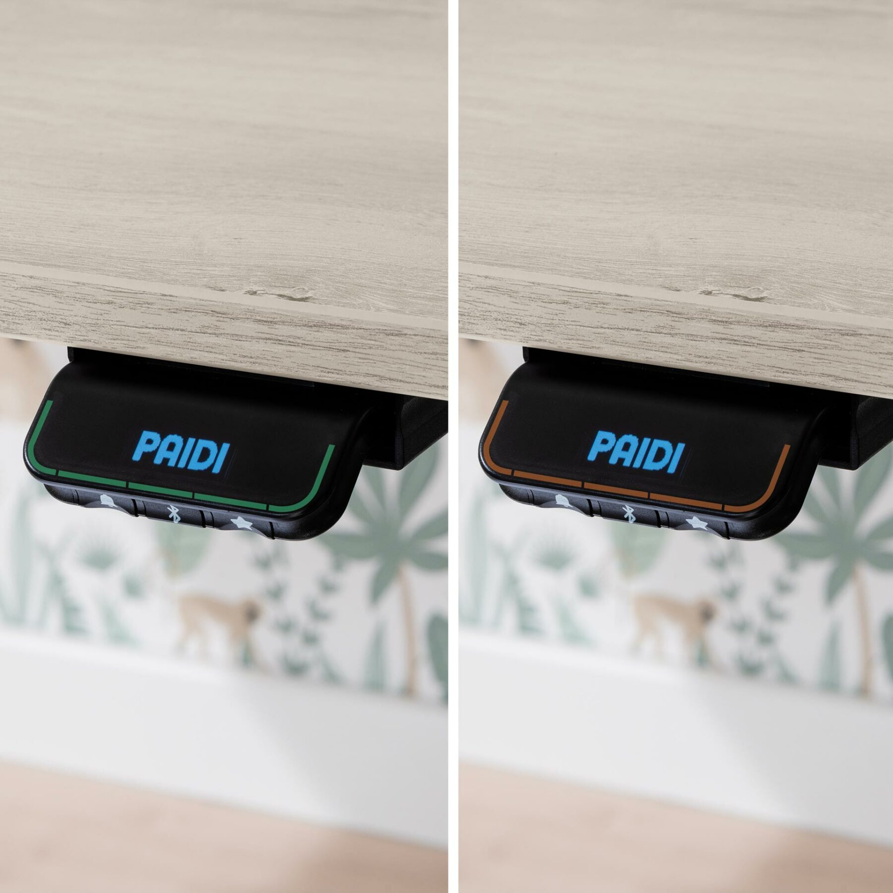 Buy PAIDI e-lion desk | PAIDI ♥