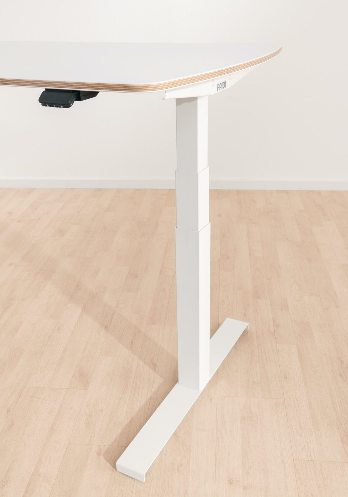 Buy PAIDI e-lion desk | PAIDI ♥