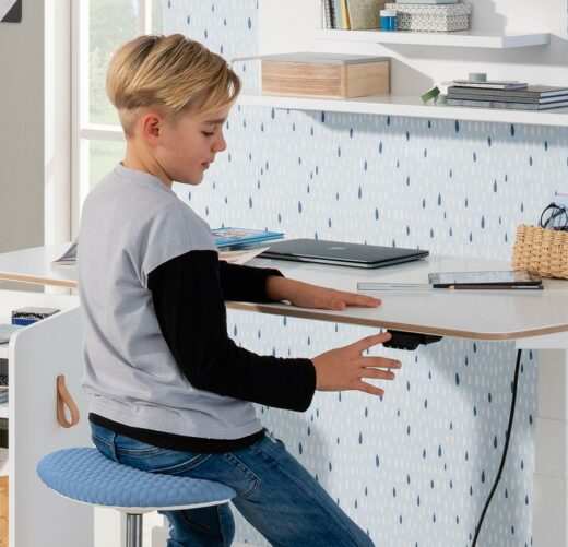 PAIDI-Schreibtisch e-lion kaufen | PAIDI ♥