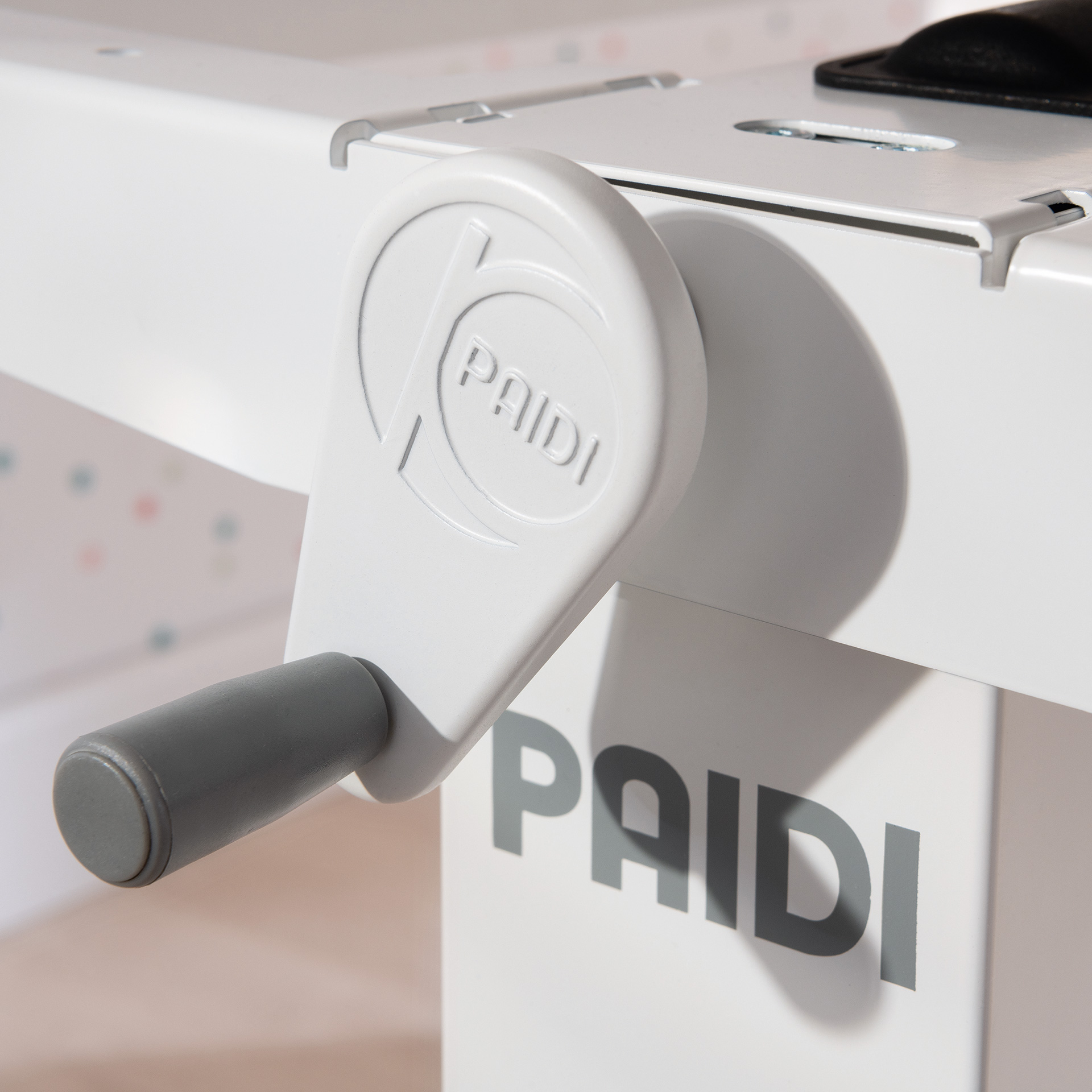 Teenio Kinderschreibtisch PAIDI kaufen | PAIDI Kindermöbel ♥